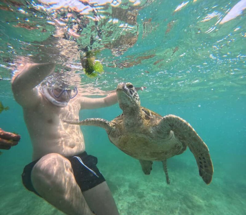 Mirissa Snorkeling Tour with Turtle Adventure and Free Video - Final Thoughts