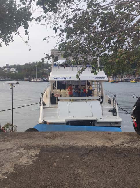 Mirissa: Sunset Whale Watching Boat Tour with Music - Pricing and Value