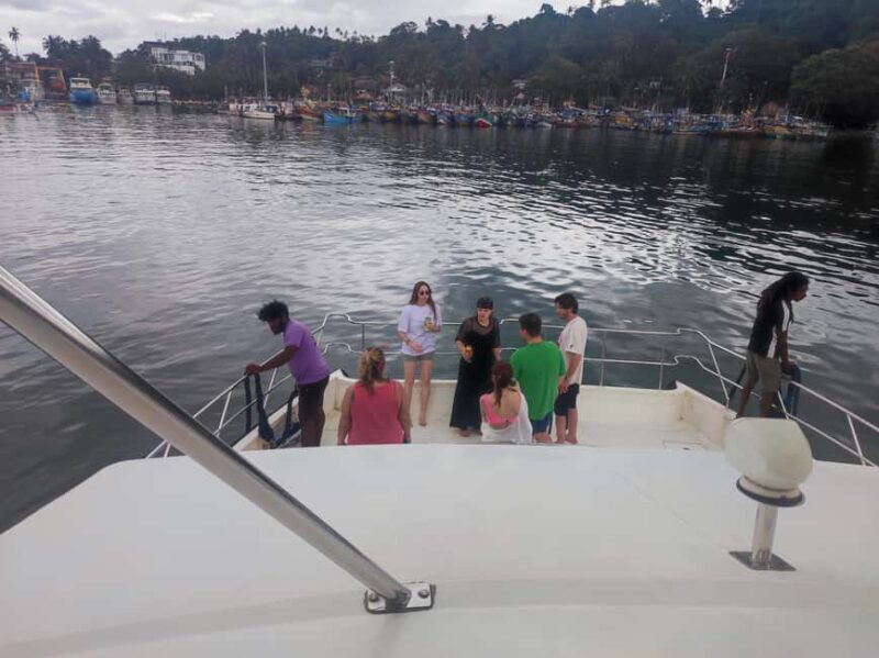 Mirissa: Sunset Whale Watching Boat Tour with Music - Authentic Experiences and Real Traveler Perspectives