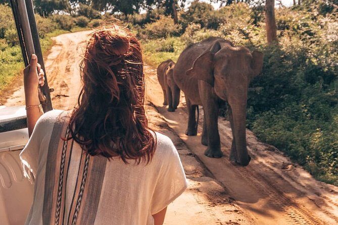 Mirissa to Ella Shuttle & Safari Drive (Breakfast included) - FAQ