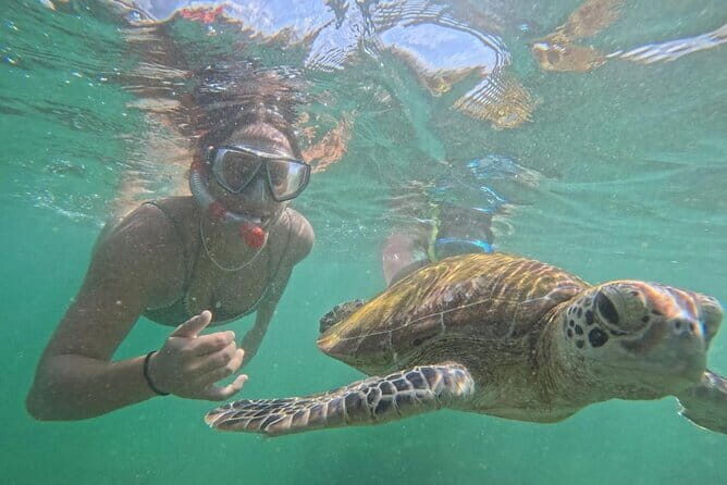 Mirissa Unforgettable Snorkeling Experience with Turtles - Exploring Mirissa’s Snorkeling Tour: What You Can Expect
