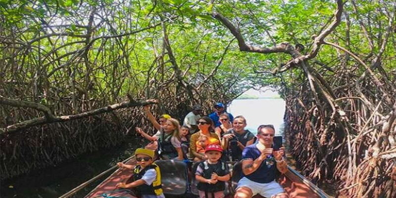 Mirissa/Weligama/Galle: Galle & Bentota Coastal Day Tour - An Overview of the Tour Experience