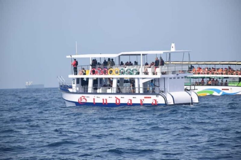 Mirissa: Whale & Dolphin Watching Cruise with Geeths Crew - Key Points