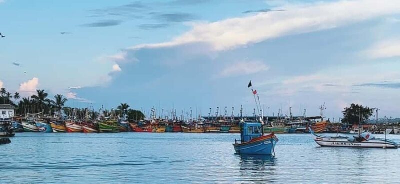 Mirissa: Whale & Dolphin Watching Cruise with Geeths Crew - Final Thoughts