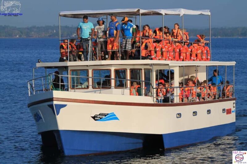 Mirissa: Whale & Dolphin Watching Trip with Private Transfer - The Itinerary and What You Can Expect