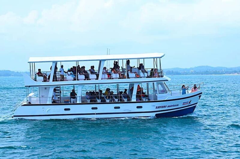 Mirissa: Whale Watching Cruise With Blue Whales & Dolphins - Final Thoughts: Is It Worth It?