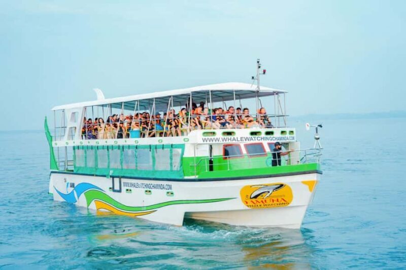 Mirissa: Whale watching day trip from Colombo and Ahungalla - Key Points