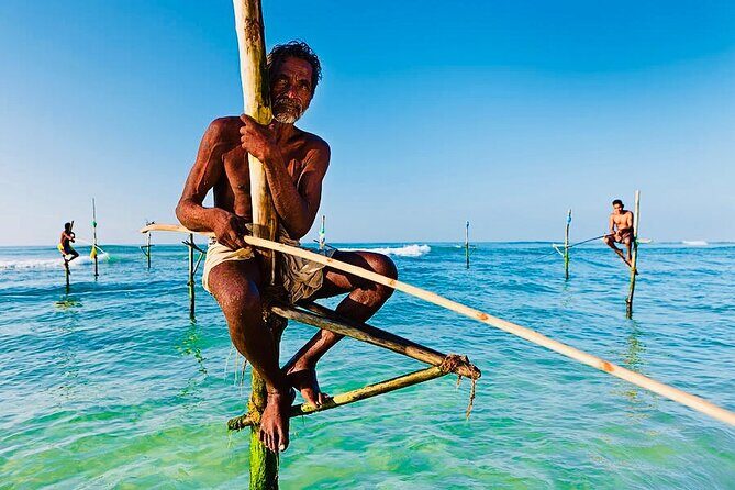 Mirissa Whale watching, Stilt Fishing & Turtle Tour From Colombo - Summing Up: Is It Worth It?