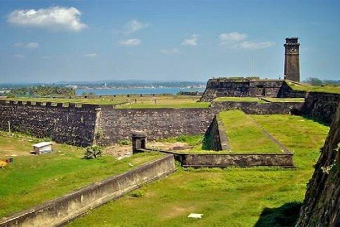 Mirissa Whale watching, Stilt Fishing & Turtle Tour From Colombo - An In-Depth Look at What This Tour Offers