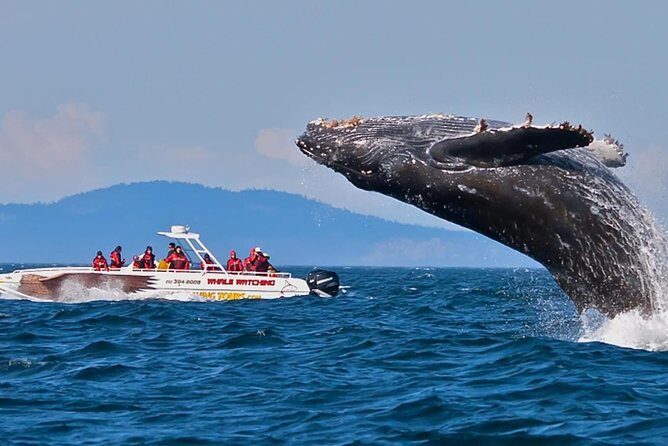 Mirissa Whale watching, Stilt Fishing & Turtle Tour From Colombo - Who Would Love This Tour