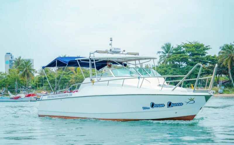 Mirissa Whale Watching Super Luxury Speedboat Private Trip - Key Points