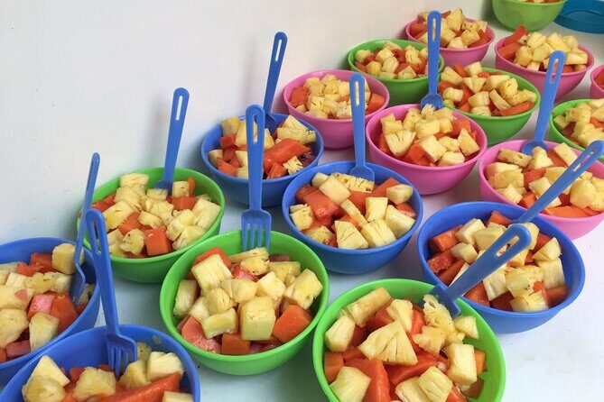 Mirissa Whale watching tour from Colombo/Negombo with Breakfast - The Itinerary and What to Expect