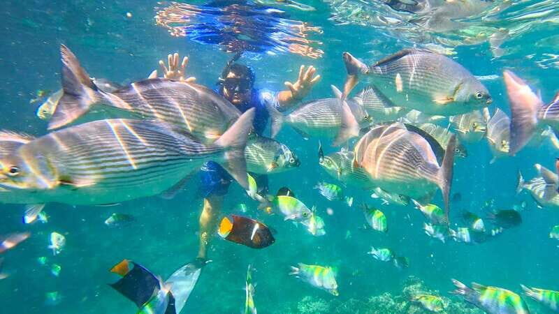 Mismaloya: Snorkeling, Cliff Jumping, and Beach Tour - What Travelers Say