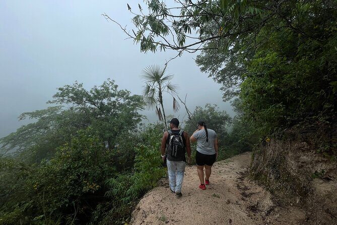 Mismaloya Waterfalls Jungle Hike Full Day Adventure - In-Depth Breakdown of the Itinerary