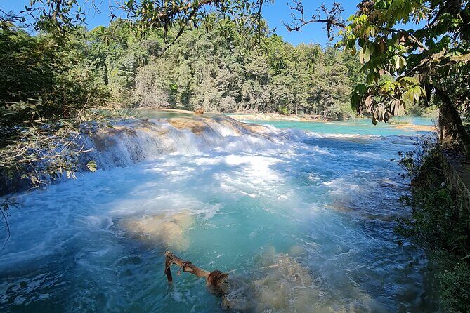 Misol Ha Blue Waterfalls and Palenque Archaeological Area - The Sum Up: Who Should Sign Up?