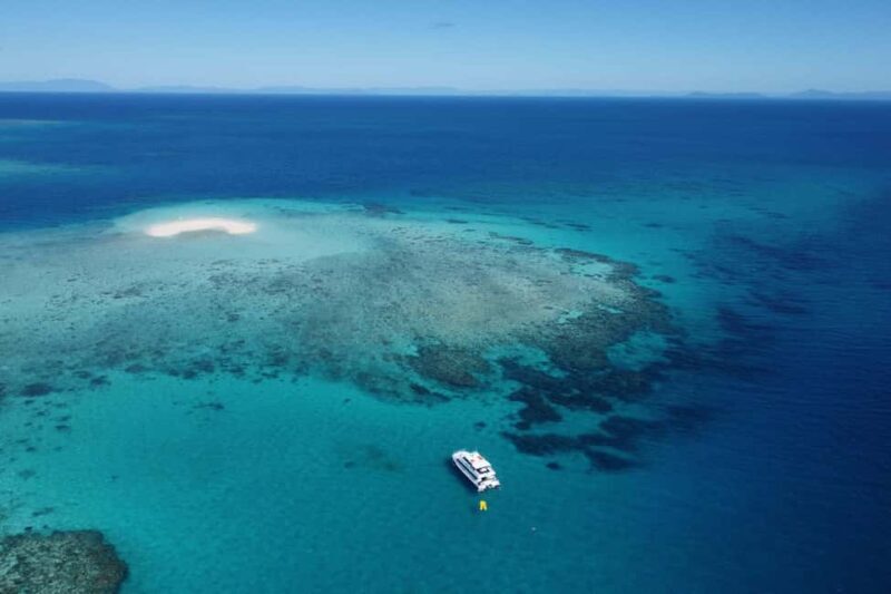 Mission Beach: Outer Great Barrier Reef & Dunk Island Tour - The Experience on the Reef: What Youll See & Do