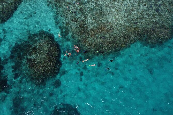 Mission Beach: Small Group | Outer Reef Snorkel & Dunk Island - The Sum Up: Is This the Right Reef Tour for You?