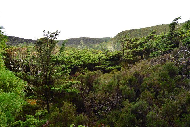 Mistérios Negros Hiking Trail - Terceira Azores - Analyzing the Value: Is It Worth the Price?