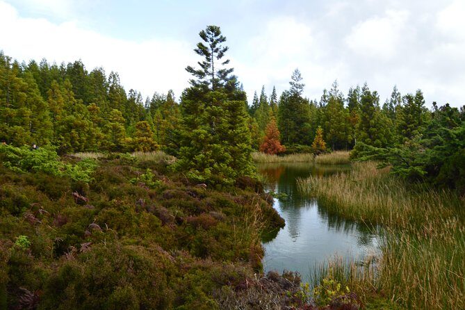 Mistérios Negros Hiking Trail - Terceira Azores - Who Will Enjoy This Tour?
