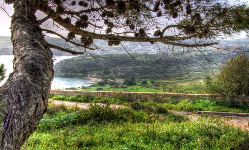 Mistra Valley and Selmun Private Nature Tour with Transport - Considerations to keep in mind