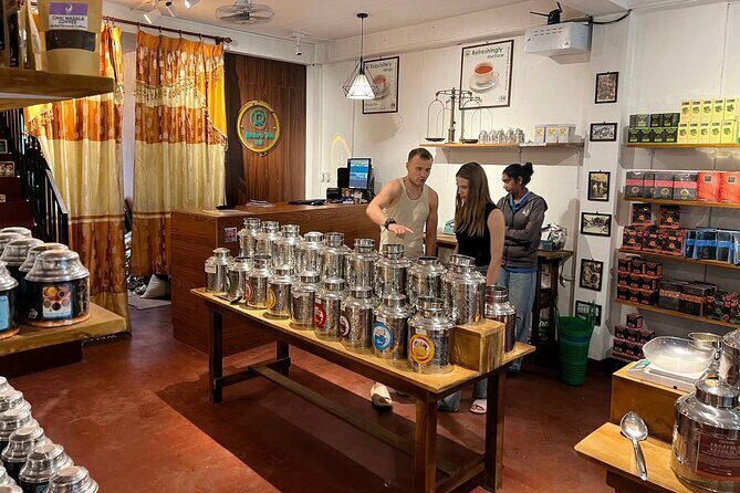 Misty Escapes From Colombo to Dreamy Hills of Ella - Who Should Consider This Tour?