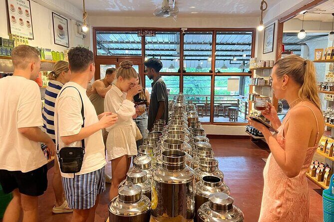 Misty Escapes From Colombo to Dreamy Hills of Ella - The Sum Up