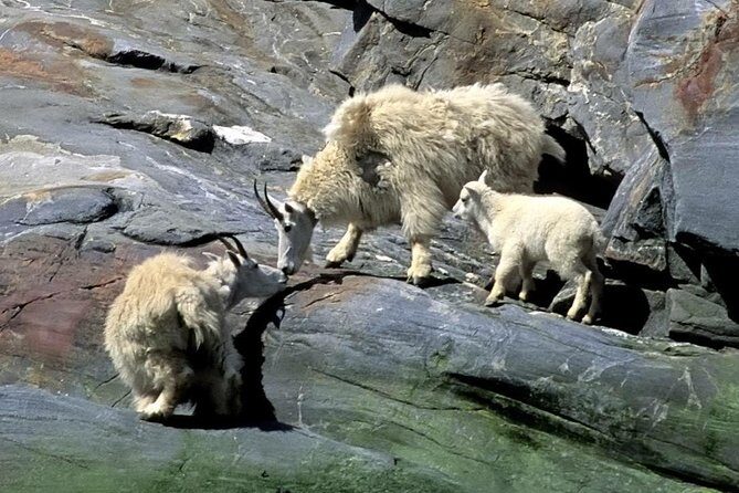 Misty Fjords Expedition - 6 Passenger Boat - Key Points
