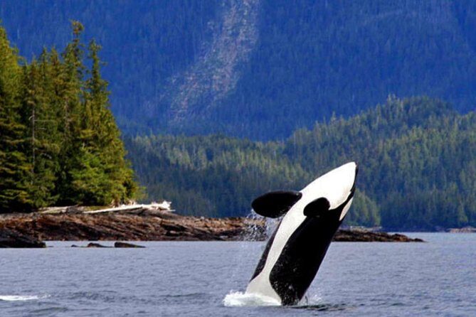 Misty Fjords Expedition - 6 Passenger Boat - Who Should Consider This Tour?