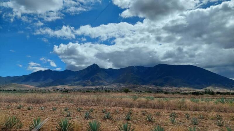 Mitla: Bike Tour to the Archaeological Zone and Caves with Rock Art - What to Expect: Practical Details