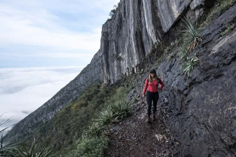 Mitras: Intermediate Hike with Panoramic Views of Monterrey - Key Points