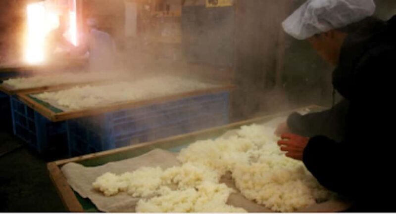 Miyagi: Hagino Sake Brewery Tour and Tasting - An Authentic Look into Japanese Sake Making