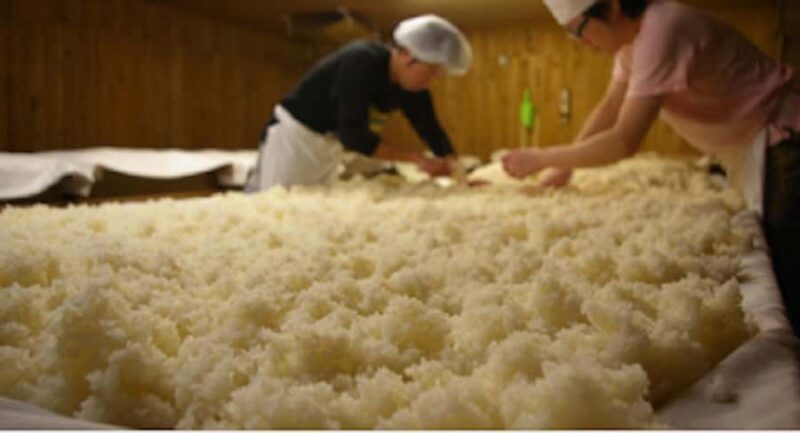 Miyagi: Hagino Sake Brewery Tour and Tasting - In Summary