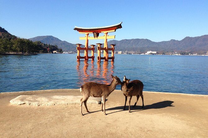 Miyajima full day tour - Key Points