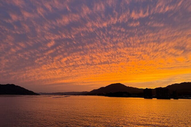 Miyajima Half-Day Private Experience with a Local - How the Tour Works