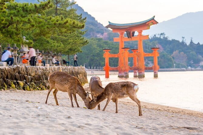 Miyajima Island Day Tour in Sacred Sites and Mount Misen - FAQ