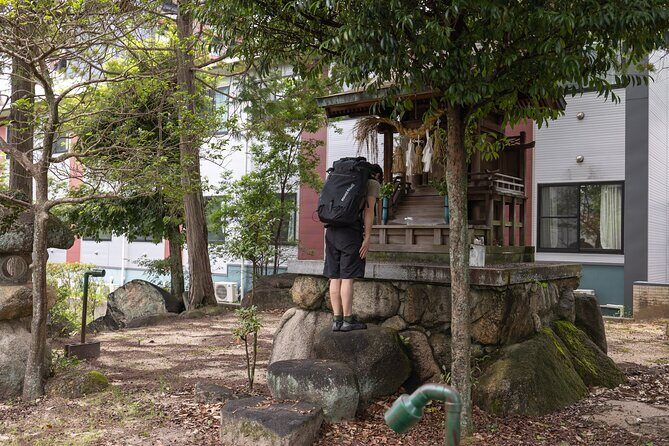 Miyajima Views & Oysters: Award-Winning Half-Day Hiking Tour - What You Can Expect During the Tour