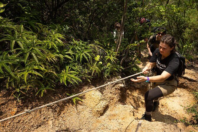Miyajima Views & Oysters: Award-Winning Half-Day Hiking Tour - Who Should Consider This Tour?