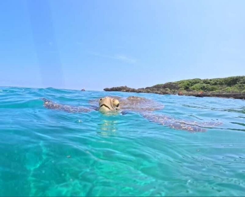 Miyako Island: English speaking SUP Tour - Discovering Miyako Island’s Waters