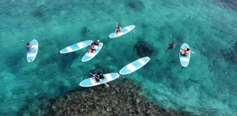 Miyako Island: English speaking SUP Tour - The Itinerary and What to Expect