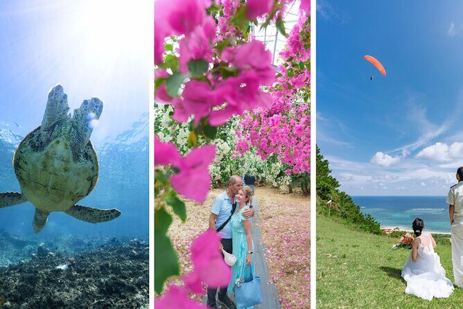 Miyako Island Half-day Private Tour - An In-Depth Look at the Miyako Island Half-day Private Tour