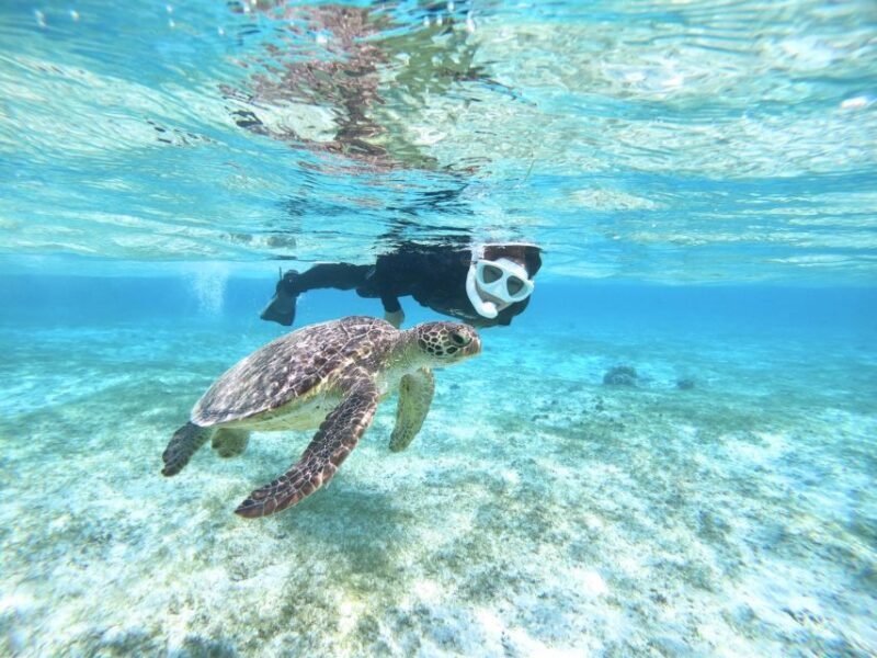 Miyako Island: SUP or Canoeing and Snorkeling Experience - FAQ