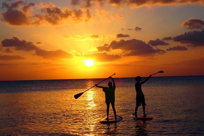 Miyako SUP or Canoe Tour on a Spectacular Beach in Miyako - Who Will Love This Tour?