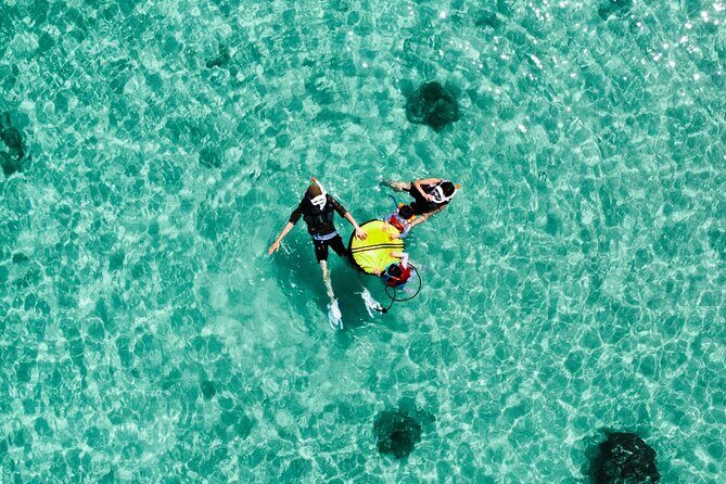 Miyakojima CharteredWith drone photographyClear SUP & Sea Turtle Snorkel TourNo additional chargeFull refund guaranteeFree rental and photography - Who Should Consider This Tour?