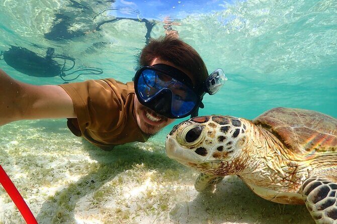 Miyakojima CharteredWith drone photographyClear SUP & Sea Turtle Snorkel TourNo additional chargeFull refund guaranteeFree rental and photography - The Sum Up