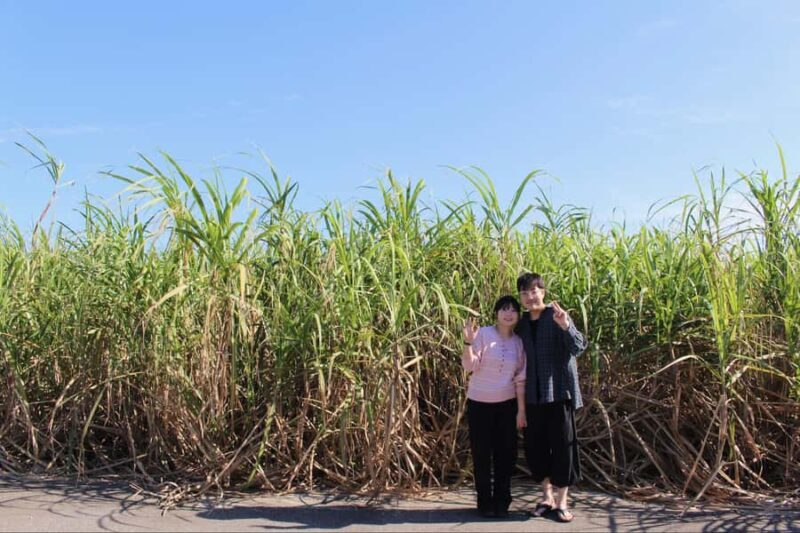 Miyakojima: Guided Photo Tour with Drone Option - Key Points