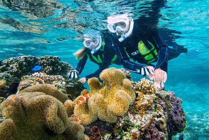Miyakojima / Snorkel tour to enjoy coral and fish - A Day in the Water: The Itinerary
