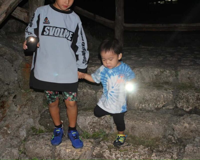 Miyakojima: Starry sky  Jungle Night Tour - An Overview of the Experience