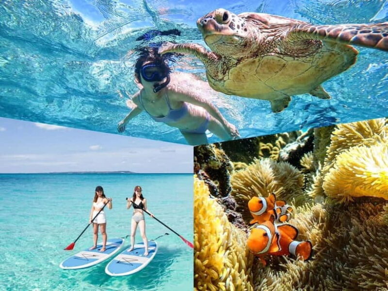 Miyakojima: SUP and Snorkeling- Two Activities in One Day - What You Can Expect from the Tour