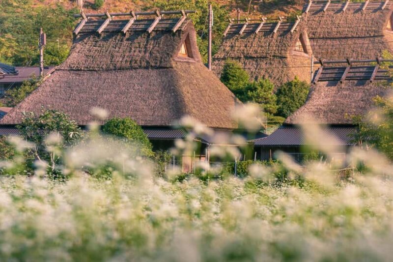 Miyama Village&Amanohashidate&Ine no Funaya Day Tour - A Closer Look at the Tour Experience