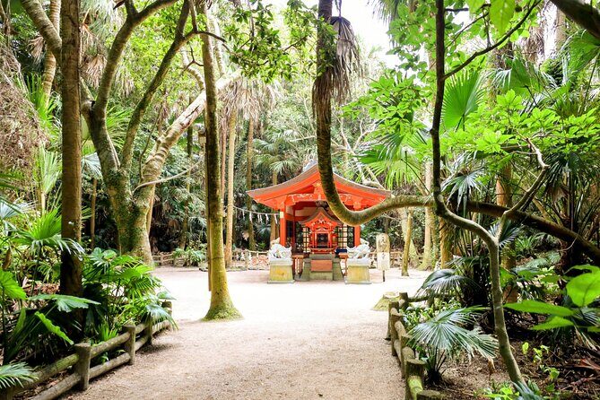 Miyazaki: Aoshima Mythology, Shrine Rituals & Coastal Rocks - What Travelers Are Saying